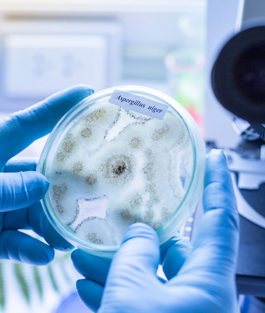 Cleanroom Insulation Solutions Go Head-to-head in Independent Testing ...